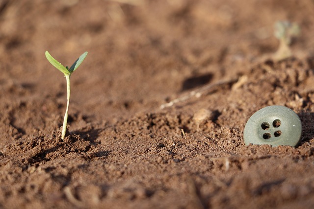 Matoko Katha | Hamro Patro