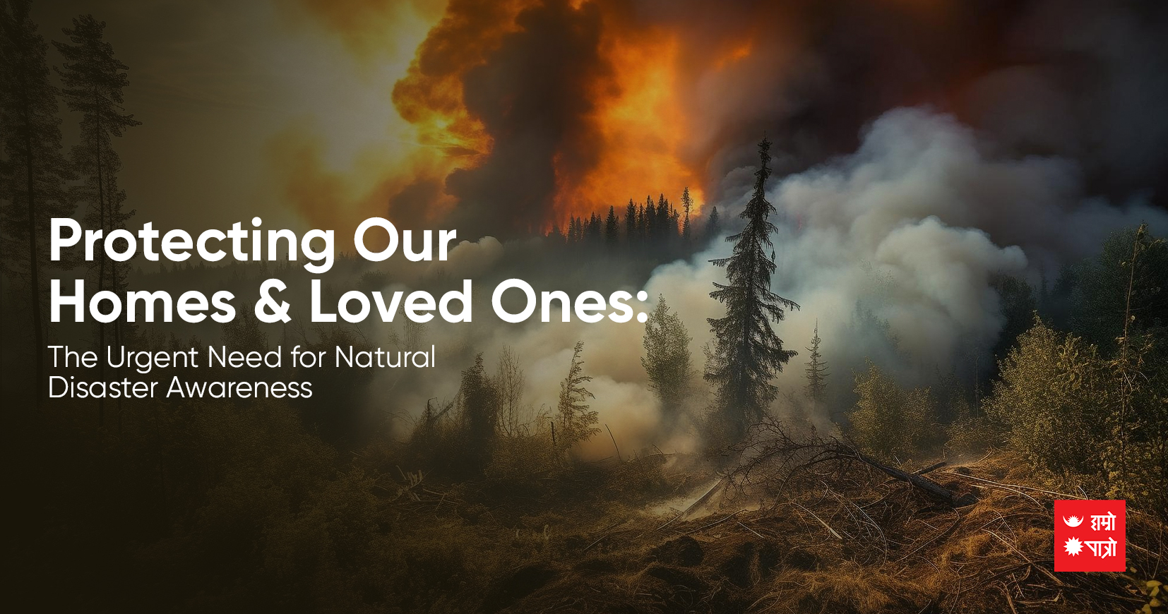 Protecting Our Homes and Loved Ones: The Urgent Need for Natural ...